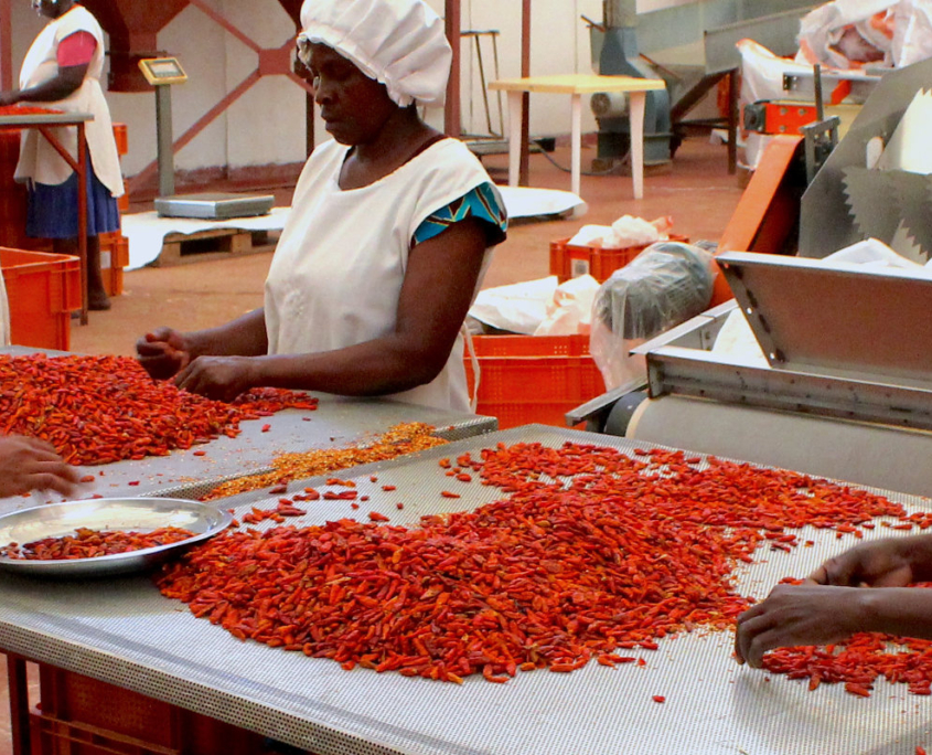 Products – Equator Kenya