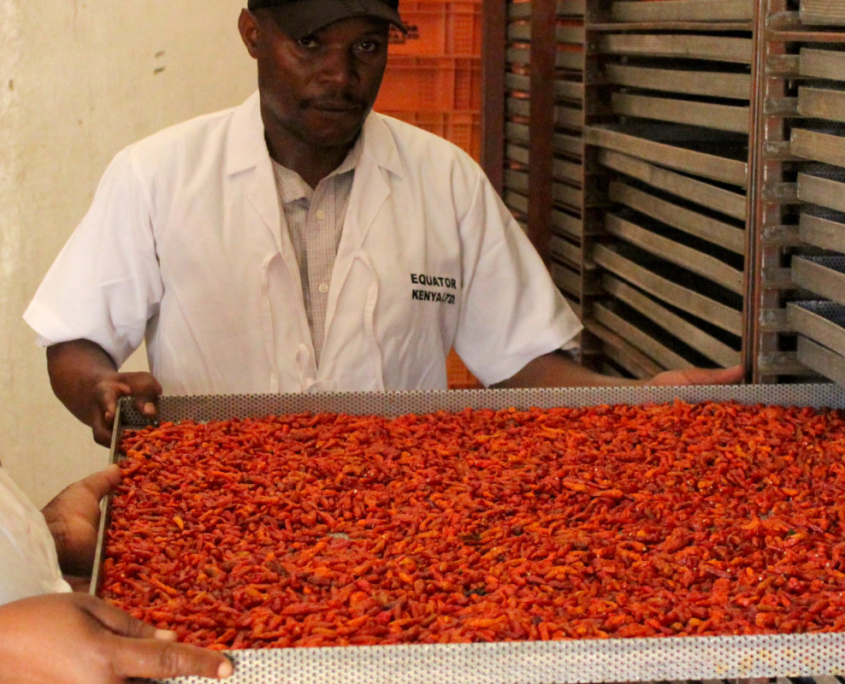 Products – Equator Kenya